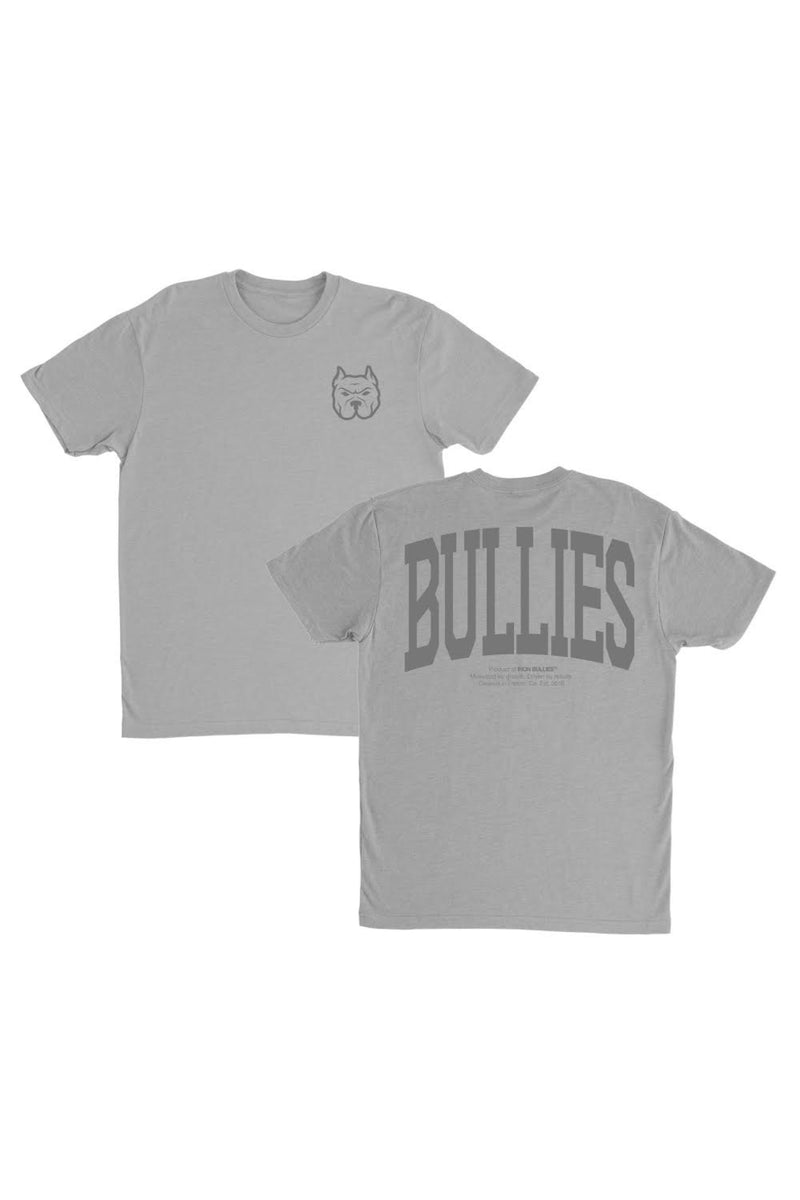 Bully University Trainer – Iron Bullies Active Wear